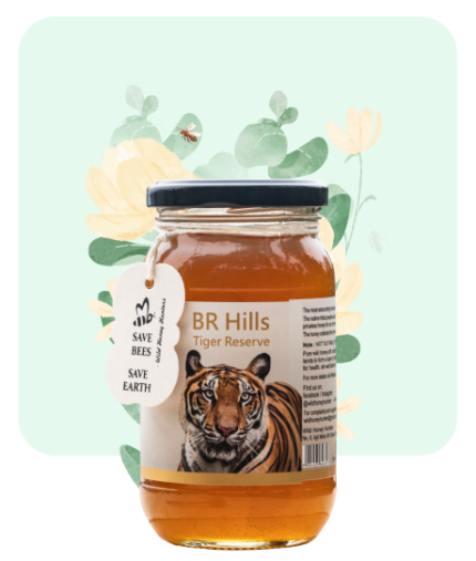 Buy 100% Natural, Raw & Pure Wild Honey Online - Wild Honey Hunters