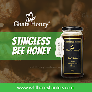 The Beauty of Stingless Bees Honey – Mother of Medicine - Wild Honey Hunters