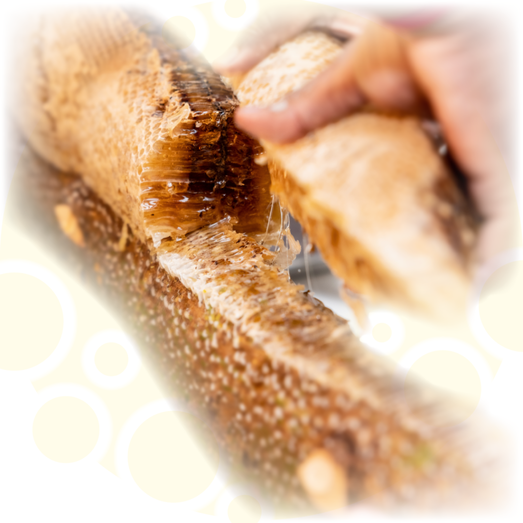 Pure Honey Benefits for Healthy Living Guide