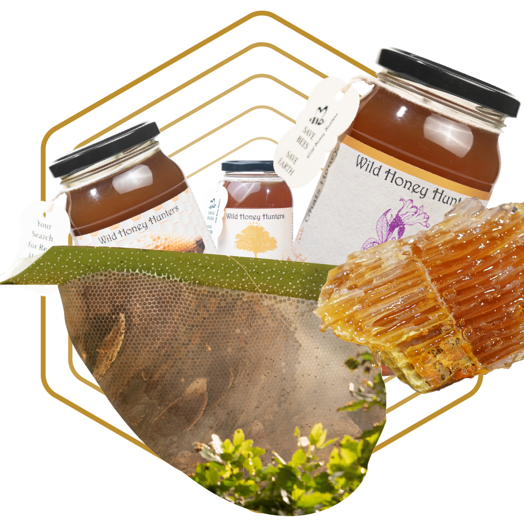 Is Wild Honey Really Healthier? - Benefits, Myths and Facts